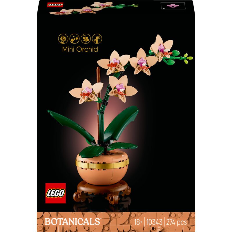 Mini-Orchidee, 29,99