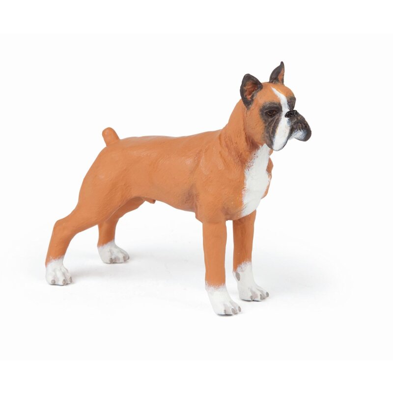 Boxer, 5,99